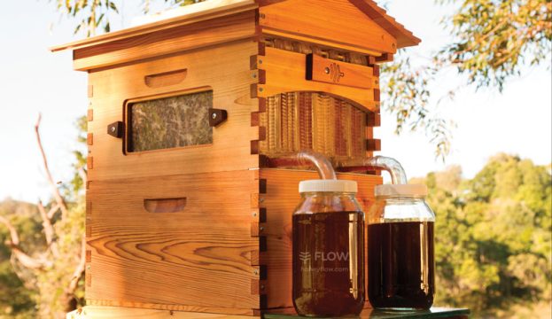 Consider These Several Types Of Beehives - Hobby Farms