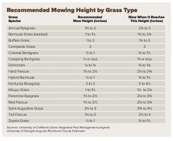 10 Tips For Mowing Your Lawn The Right Way - Hobby Farms