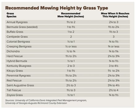 10 Tips For Mowing Your Lawn The Right Way - Hobby Farms