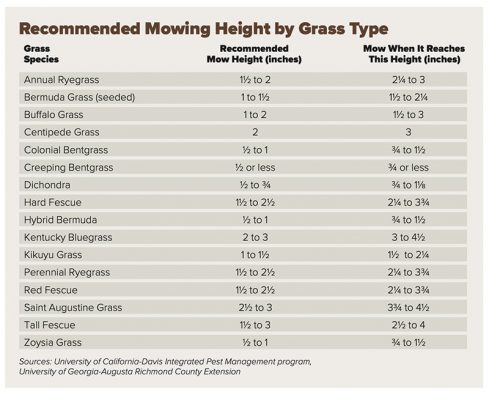 10 Tips For Mowing Your Lawn The Right Way - Hobby Farms