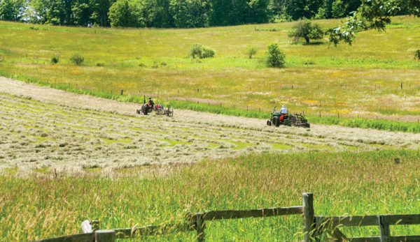 How To Restore A Hayfield To Full Production - Hobby Farms