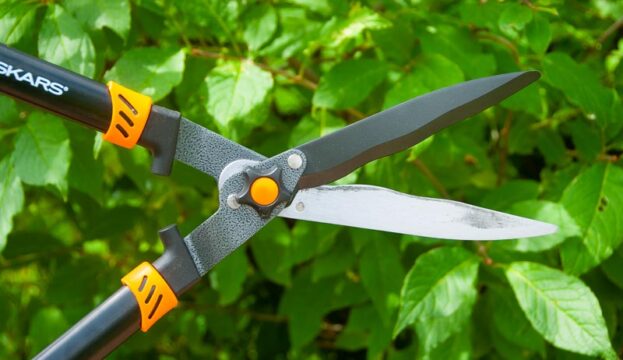 hedge trimmers - Hobby Farms