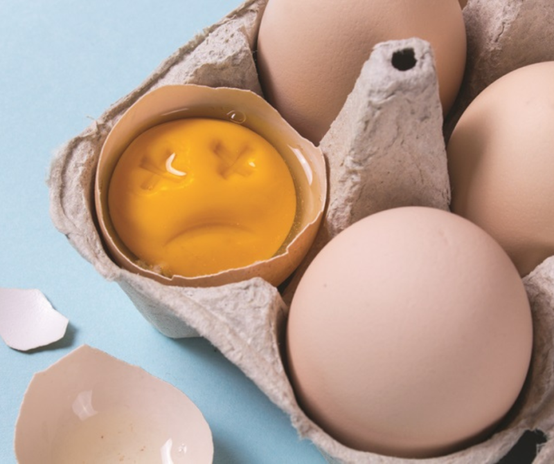 The Cause for Rotten Chicken Eggs - Hobby Farms