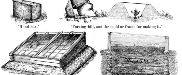Hot & Cold Frames Extend Seasons, Boost Productivity - Hobby Farms