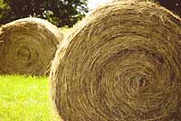 Tools of the Trade: Choosing a Hay Baler - Hobby Farms