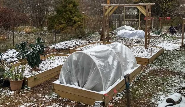 low tunnels - Hobby Farms