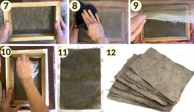 How To Make Paper From Milkweed Fiber - Hobby Farms