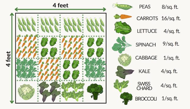 Getting The Most From A Fall Raised Bed Garden - Hobby Farms