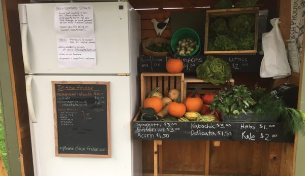 Tips For Starting Your Own Roadside Farm Stand - Hobby Farms