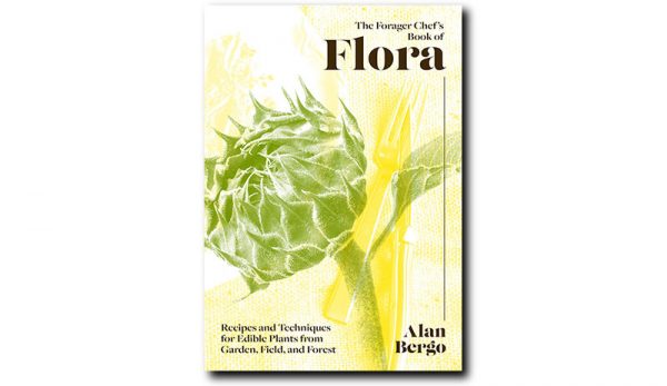 Wild Green Cakes (The Forager Chef's Book of Flora) - Hobby Farms