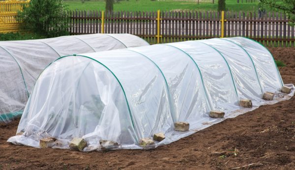 Extend Your Growing Season With A Low Tunnel - Hobby Farms