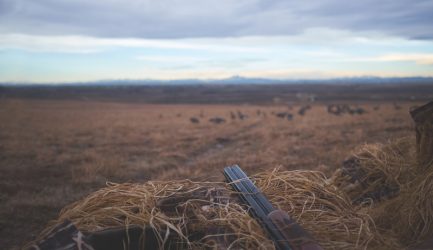 On The Farm, A Gun Can Offer Protection & More - Hobby Farms