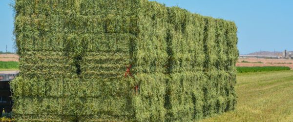 green_hay - Hobby Farms