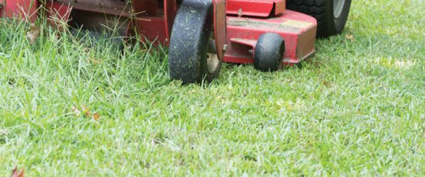 10 Tips For Mowing Your Lawn The Right Way - Hobby Farms