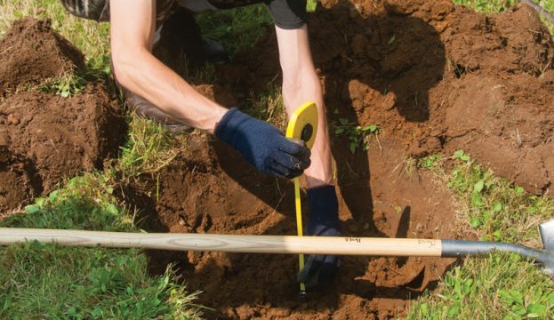 How to Plant an Orchard Of Fruit Or Nut Trees? – Hobby Farms