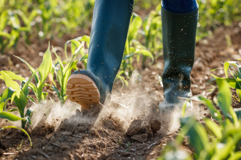 6 Types of Farm Boots for Every Job on the Homestead - Hobby Farms