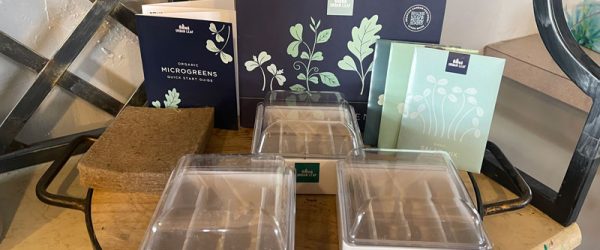 Three Microgreens Starter Sets To Get You Growing - Hobby Farms