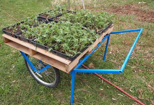 Q&A With Cycle Farm - Hobby Farms