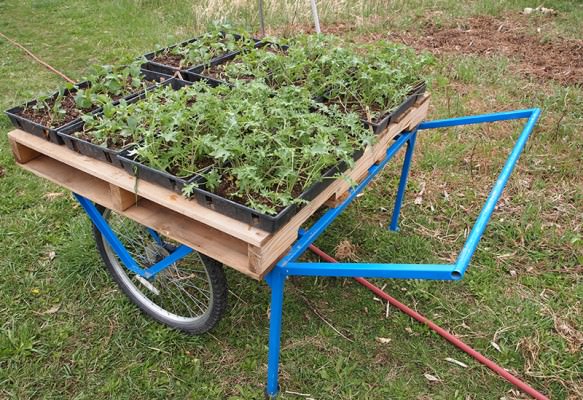 Q&A With Cycle Farm - Hobby Farms