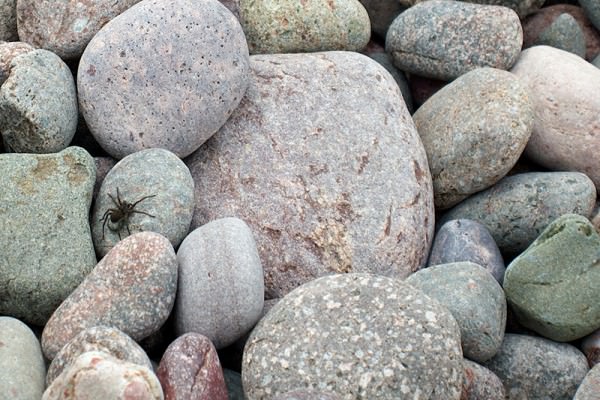 Insect Hotels: The Perfect Overnight Stay For Beneficial Insects ...