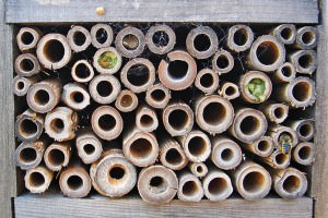 Insect Hotels: The Perfect Overnight Stay For Beneficial Insects ...