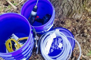 Tap Black Walnut Trees For Sap - Hobby Farms