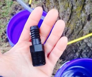 Tap Black Walnut Trees For Sap - Hobby Farms