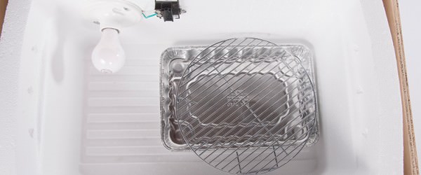 Build Your Own Egg Incubator - Hobby Farms