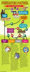 Infographic: Pick Your Predator Patrol - Hobby Farms