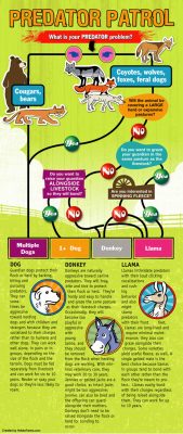 Infographic: Pick Your Predator Patrol - Hobby Farms