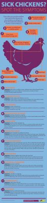 Sick Chickens? Spot the Symptoms [Infographic] - Hobby Farms