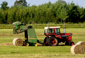 What You Need to Grow and Produce Hay - Hobby Farms