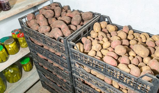 How to Build a Basement Root Cellar - Hobby Farms