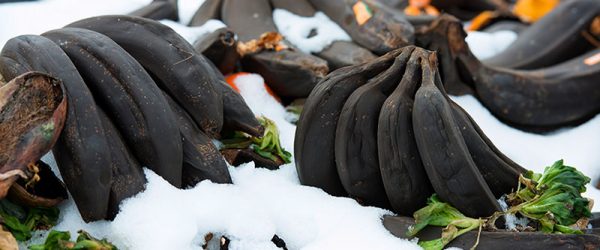 What to Do With Your Compost in Winter - Hobby Farms