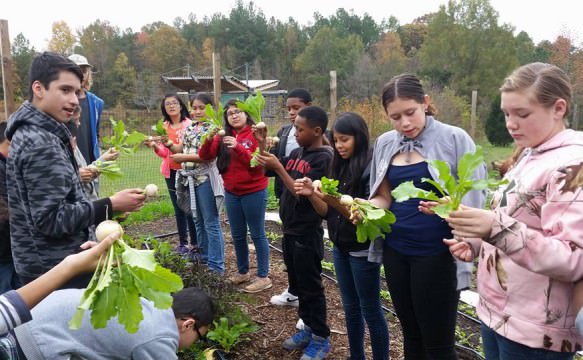 Q&A With The Hub Farm - Hobby Farms