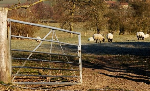 Metal Farm Gate Types - Hobby Farms