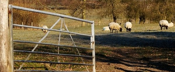Metal Farm Gate Types - Hobby Farms