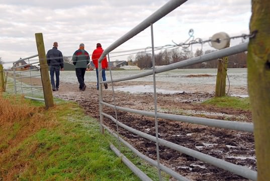 Metal Farm Gate Types - Hobby Farms