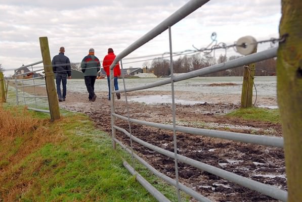 Metal Farm Gate Types - Hobby Farms