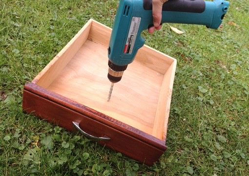 How To Make A Propagation Box - Hobby Farms