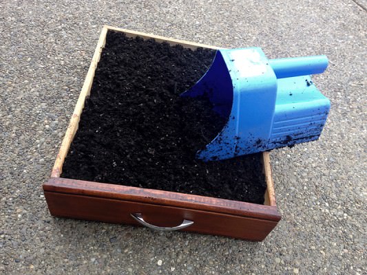 How To Make A Propagation Box - Hobby Farms