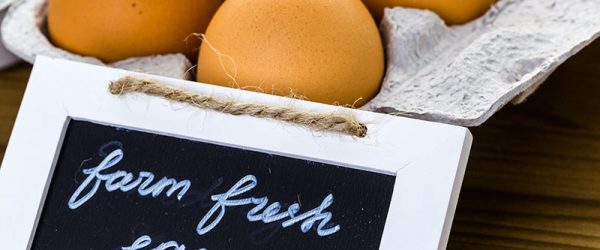 Chicken Ownership 101: Four Regulations to Consider - Hobby Farms