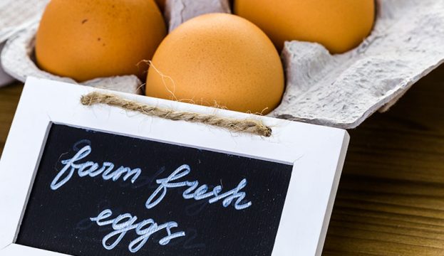 Chicken Ownership 101: Four Regulations to Consider - Hobby Farms