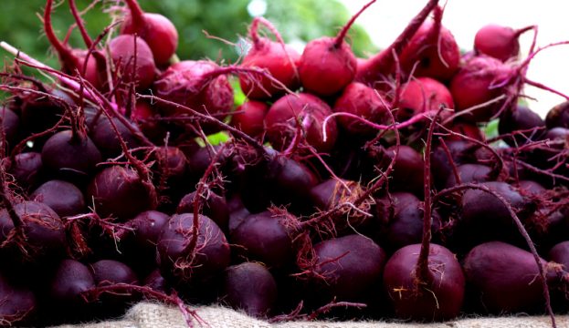 6 Unexpected Money-Making Crops to Grow All Summer - Hobby Farms