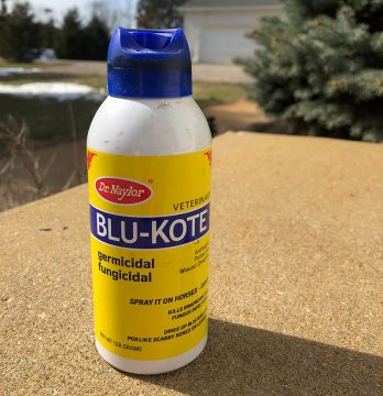 5 Essential Items for New Chicken Owners - Hobby Farms