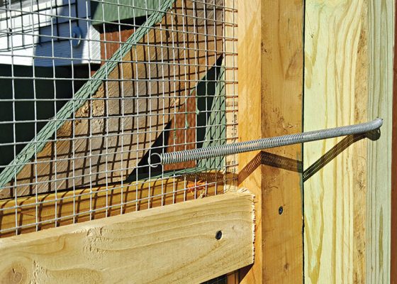 Run Defense: Build Your Chicken Run to Keep Out Predators