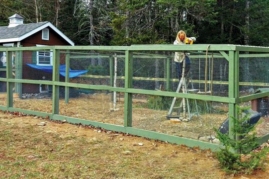Run Defense: Build Your Chicken Run to Keep Out Predators