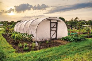 Gardening Off the Grid: Mastering Water and Solar Systems - Hobby Farms
