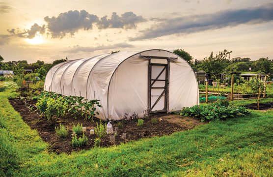 Gardening Off the Grid: Mastering Water and Solar Systems - Hobby Farms