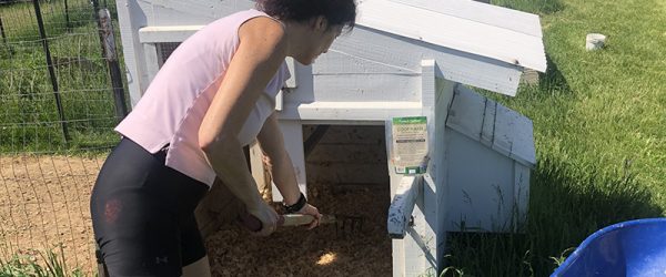 The Smell of Success: Control Coop Odor in Heat & Humidity - Hobby Farms